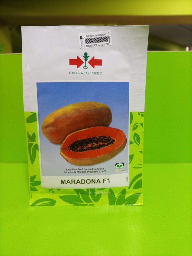 MARADONA F1 [ DWARF PAPAYA ] ( 100 ) SEEDS – Leverage Seeds